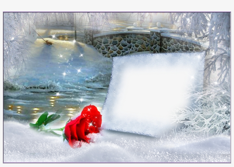 Photo Frames Winter Magic - Rose - Free Transparent PNG Download - PNGkey