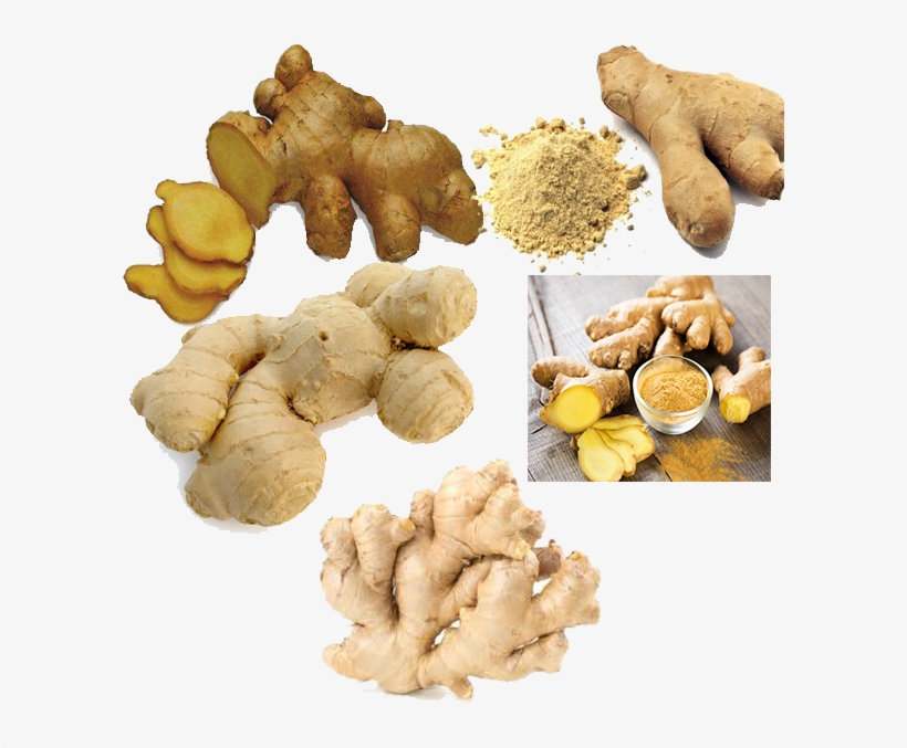 Ginger - Food - Free Transparent PNG Download - PNGkey