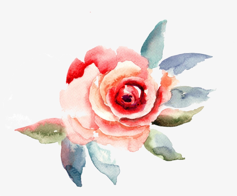 Travelling To Infinity - Rose Flower Illustration - Free Transparent ...