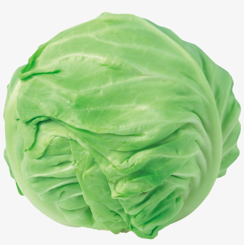 Cabbage Png Image - Cabbage Clipart - Free Transparent PNG Download ...