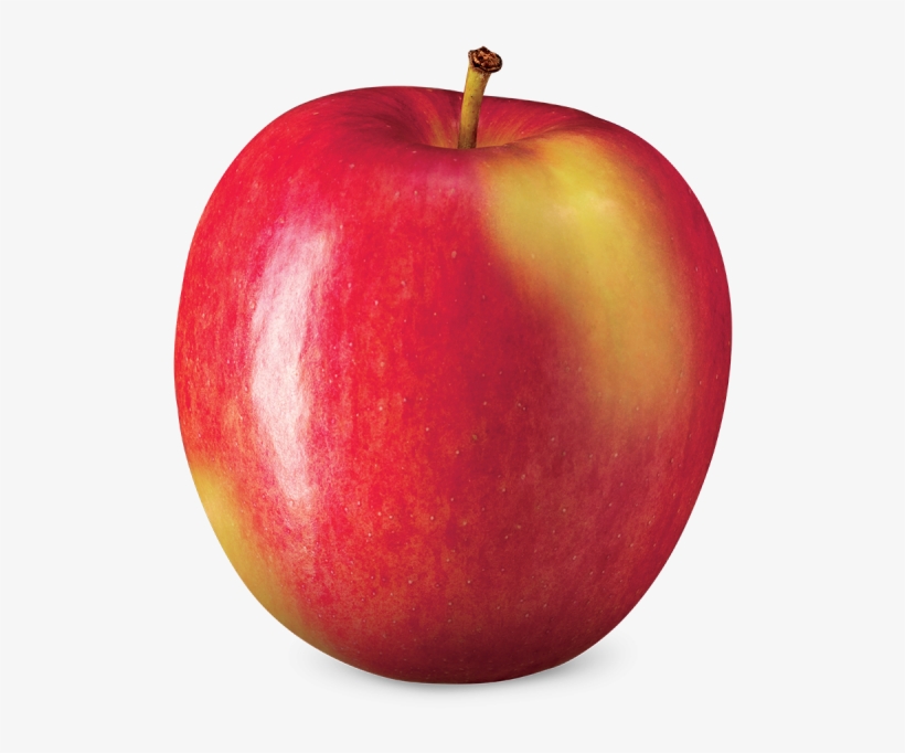 720 X 720 1 - Mcintosh - Free Transparent PNG Download - PNGkey