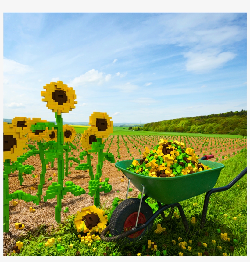 Pixar Render Farm - Field - Free Transparent PNG Download - PNGkey