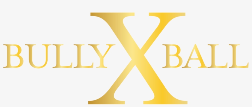 The Bully Ball Fundraiser To Benefit The Georgia English - Connelly ...