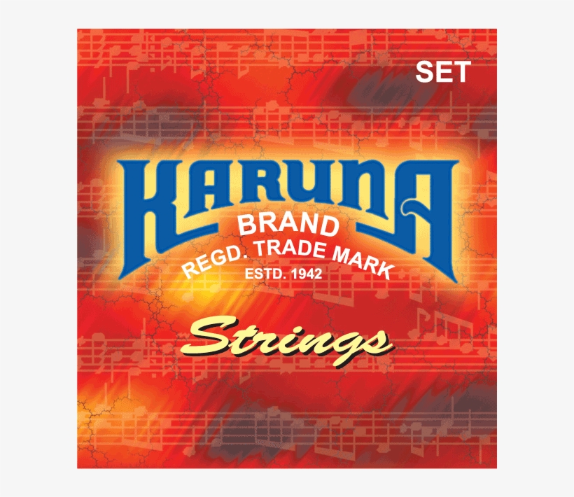 Acoustic 12 Strings Guitar - Flyer - Free Transparent PNG Download - PNGkey