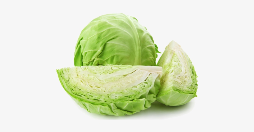 Cabbage Transparent Background Png - Free Transparent PNG Download - PNGkey