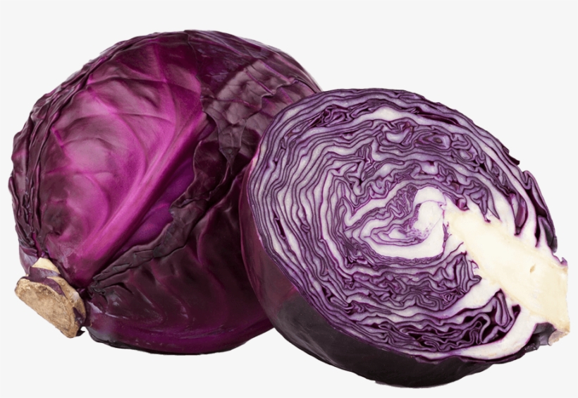 Red Cabbage Png - Red Cabbage Image Png - Free Transparent PNG Download ...