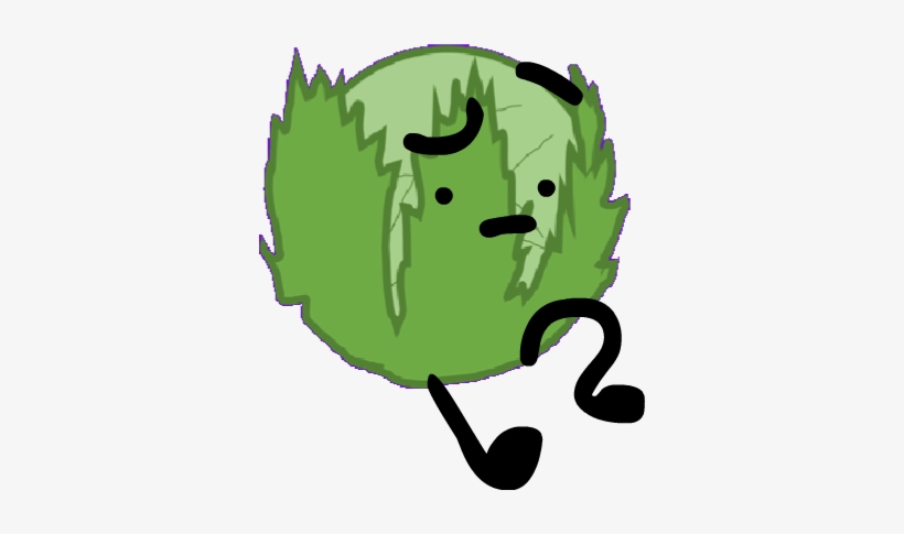 Cabbage-bfdi2 - Wiki - Free Transparent PNG Download - PNGkey