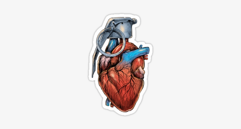 Collection Of Free Grenade Drawing Human Heart Download - Heart Grenade ...