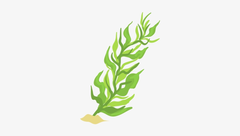 Vector Transparent Download Cartoon - Algae Sea Cartoon Png - Free ...