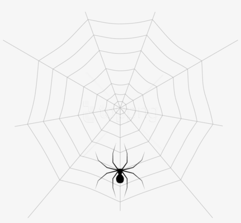 Free Png Web And Spider Png Images Transparent - Spider Web - Free ...