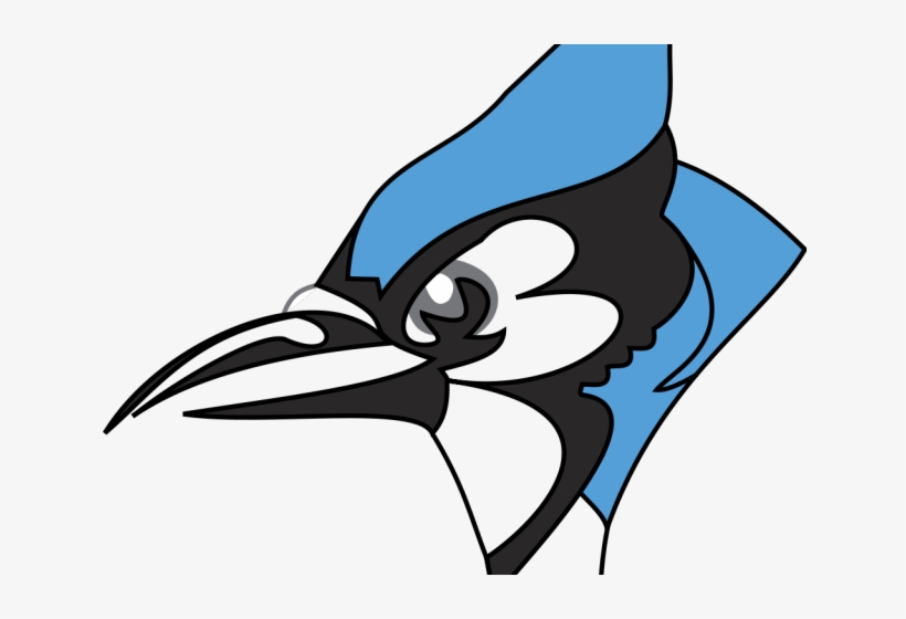 Blue Jay Clipart Johns Hopkins - Middlesex High School Blue Jays - Free ...