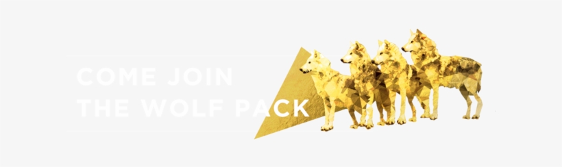 Wolf Pack Png - Free Transparent PNG Download - PNGkey