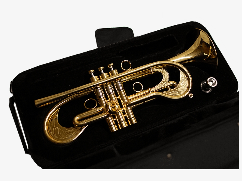 14% Price Drop - Wallet - Free Transparent PNG Download - PNGkey