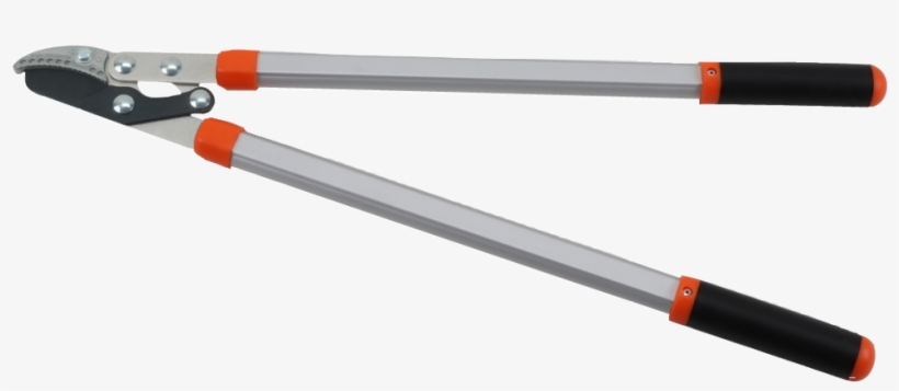 Taiwan Compound Anvil Lopping Shears, Tool, Shear / - Pruning Shears ...