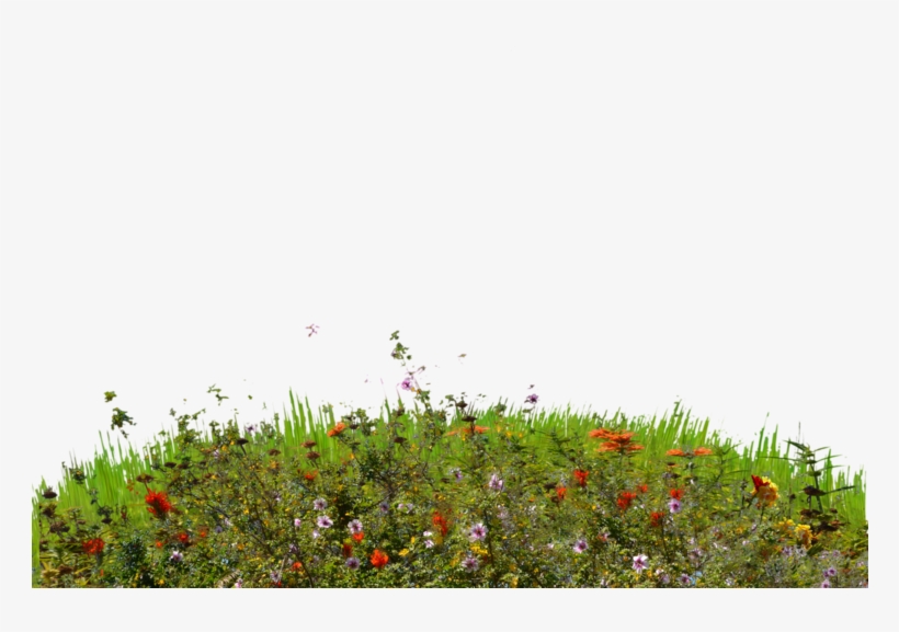 Grass Hill Png - Grass - Free Transparent PNG Download - PNGkey