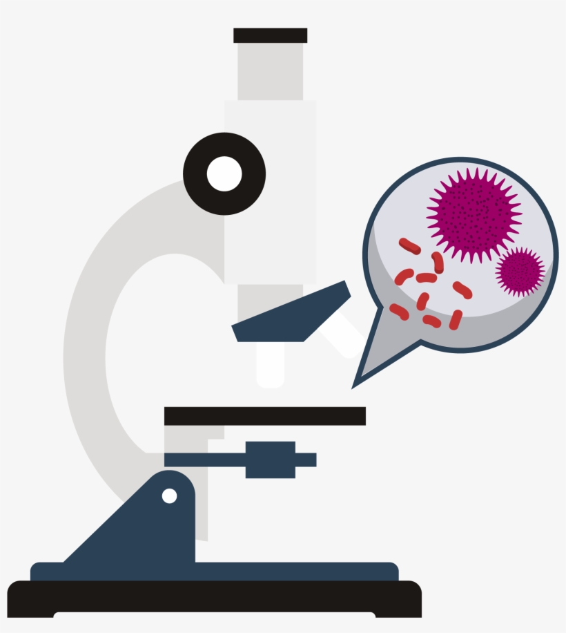 Pathology - Illustration - Free Transparent PNG Download - PNGkey