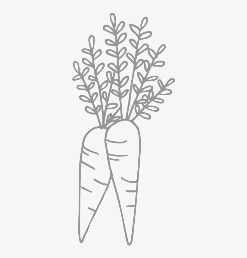 Carrots - Line Art - Free Transparent PNG Download - PNGkey