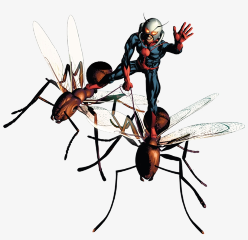 Antman Sticker - Ant Man On Ant Png - Free Transparent PNG Download ...