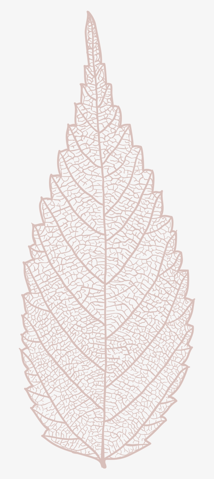 Click For Download Options - Motif - Free Transparent PNG Download - PNGkey