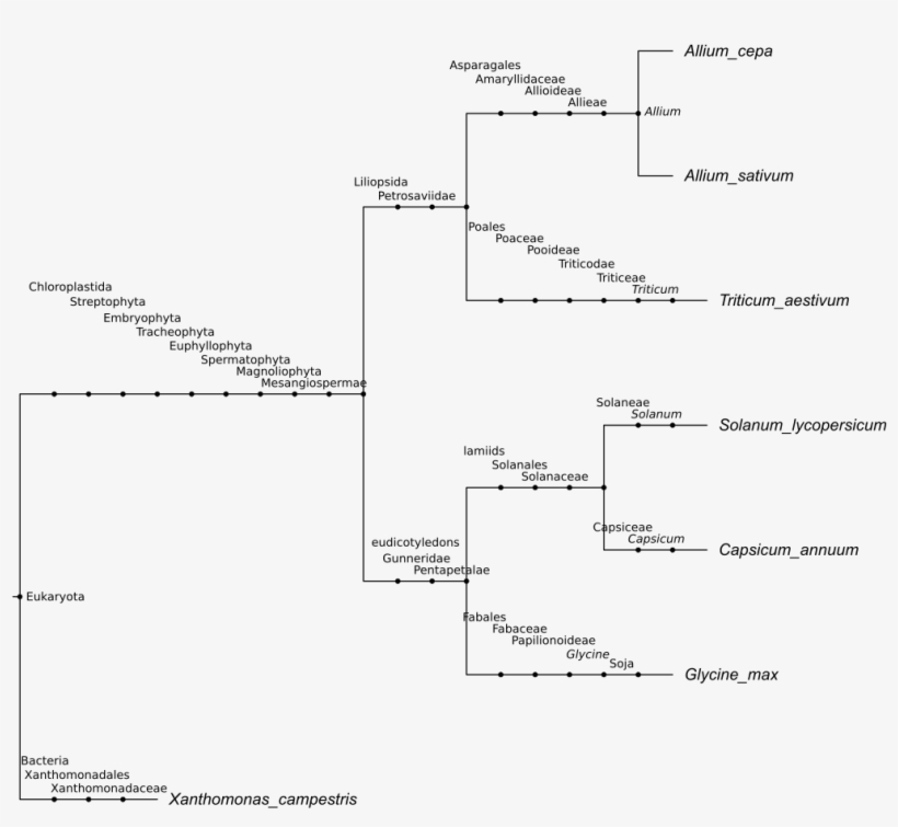 31 Mar - Diagram - Free Transparent PNG Download - PNGkey