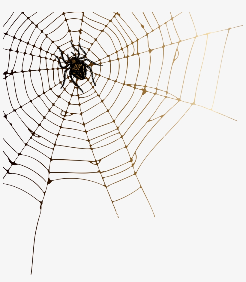 Cobweb Png - Free Transparent PNG Download - PNGkey