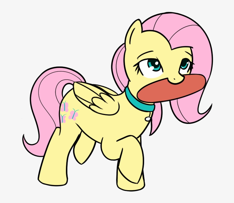 Mlp Fluttershy With Dog