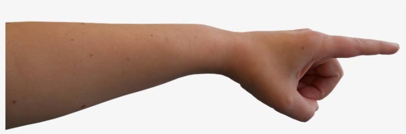 Manos Png Transparente - Pointer Du Doigt Png - Free Transparent PNG ...