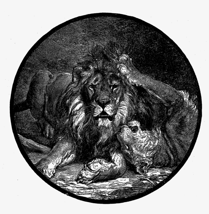 Digital Lion Illustration - Circle - Free Transparent PNG Download - PNGkey