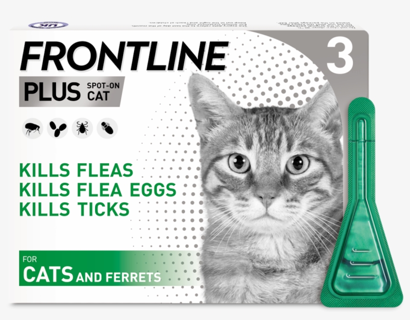 Frontline Plus For Cats - Free Transparent PNG Download - PNGkey