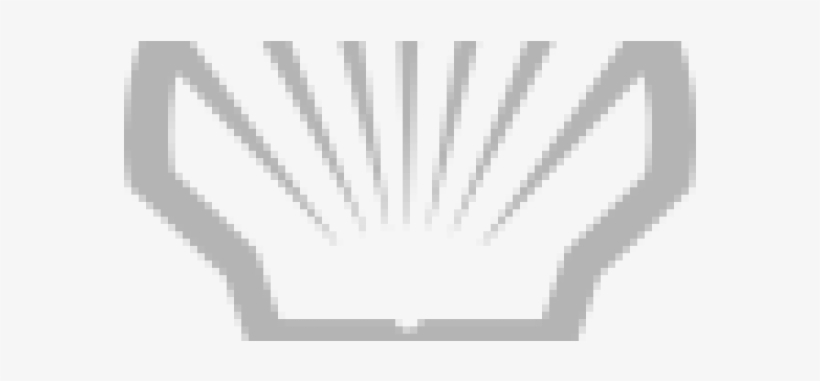 Shell - Bitmap Vector - Free Transparent PNG Download - PNGkey