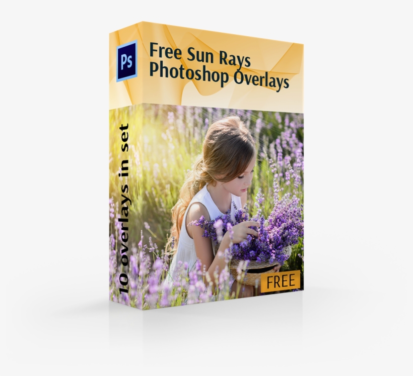 Free Sun Ray Overlay Photoshop - Adobe Photoshop - Free Transparent PNG ...