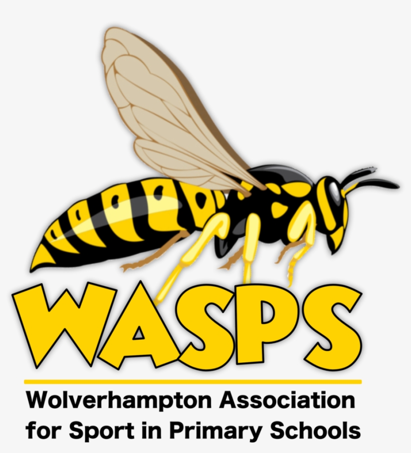 Wasps Logo - Free Transparent PNG Download - PNGkey