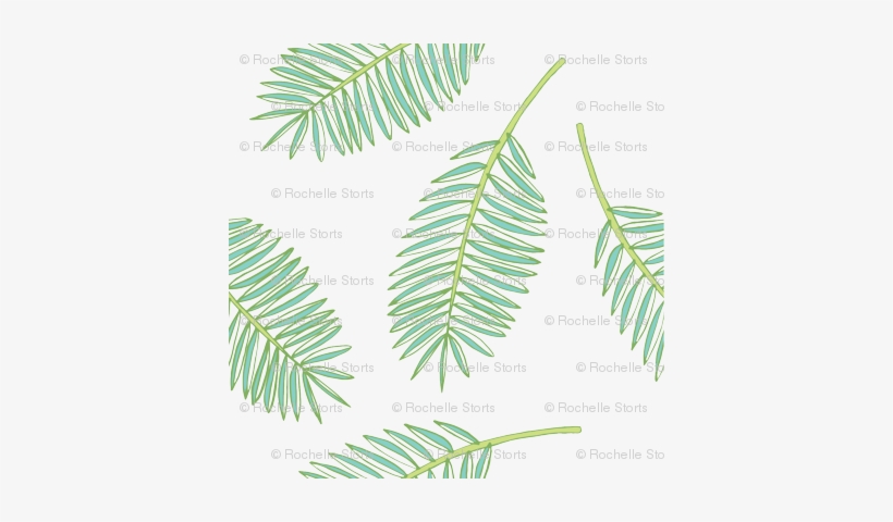 Palm Fronds - Pond Pine - Free Transparent PNG Download - PNGkey