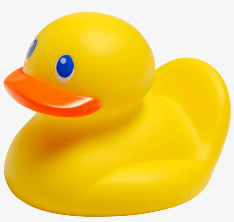 Rubber Duck Png - Rubber Duck Transparent Background - Free Transparent ...