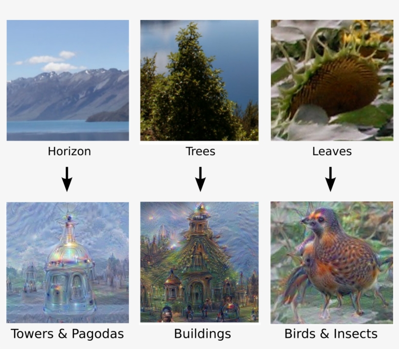 Going Deeper Into Neural Networks - Google Deep Dream Before After ...
