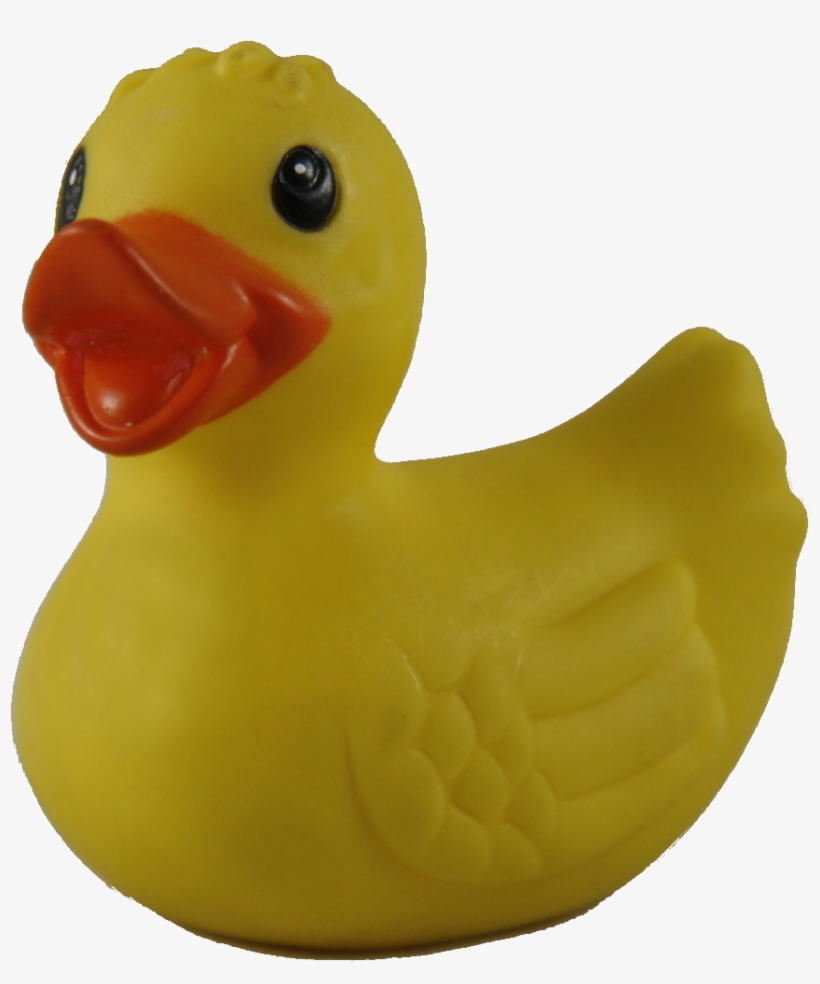 Rubber Duck - Free Transparent PNG Download - PNGkey