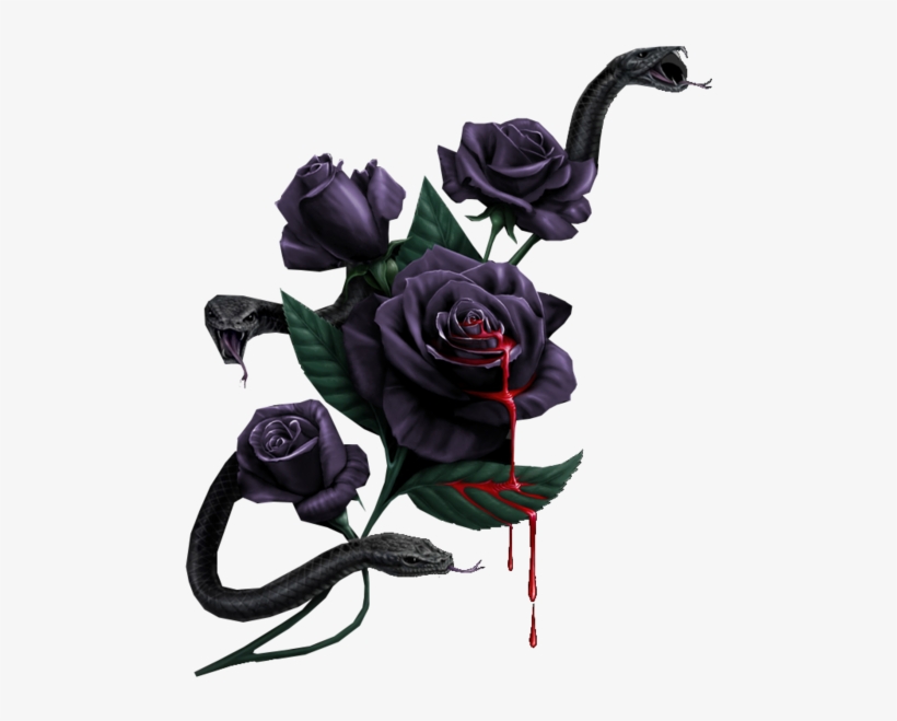 Snakes Roses - Snake And Rose Png - Free Transparent PNG Download - PNGkey