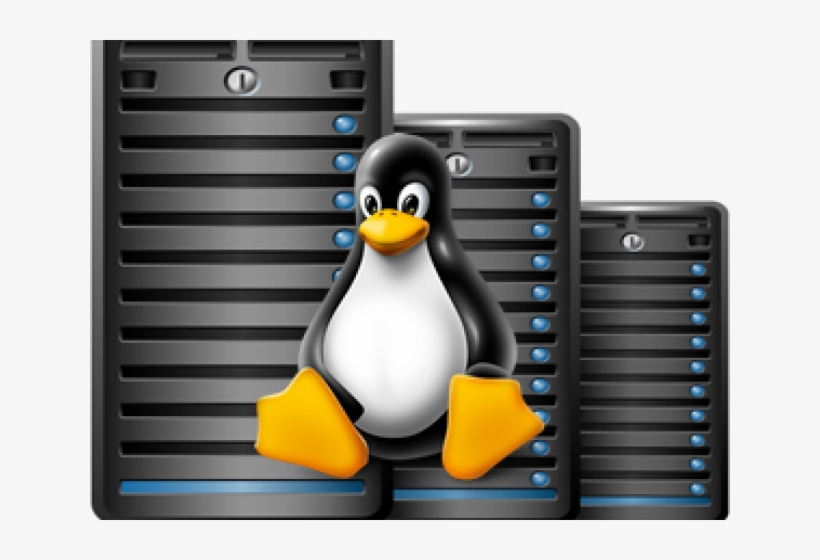 Windows Host Icon - Free Transparent PNG Download - PNGkey