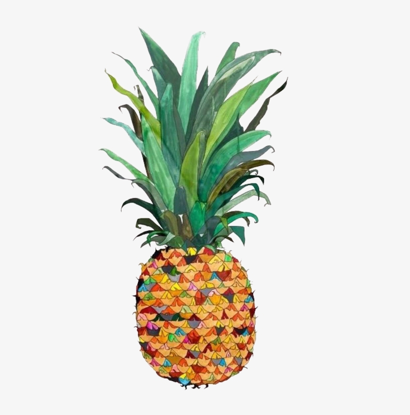 700 X 847 4 - Pineapple Drawing Water Colour - Free Transparent PNG ...