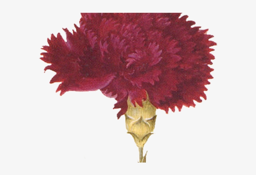 Carnation Clipart Tribal - Tractor Gear Parts - Free Transparent PNG ...