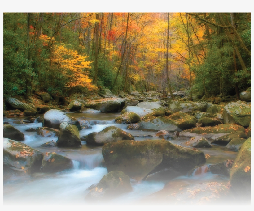 Autumn Stream Landscape Art Painting - Free Transparent PNG Download ...