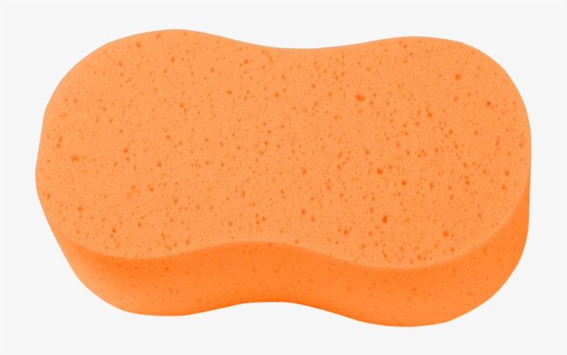 Tan - Free Transparent PNG Download - PNGkey