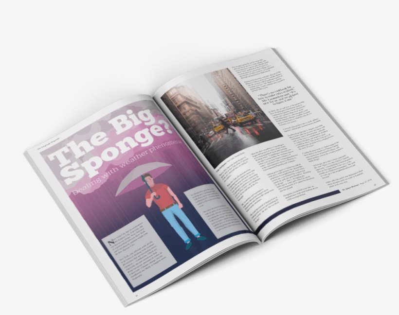 Big-sponge - - Free Transparent PNG Download - PNGkey