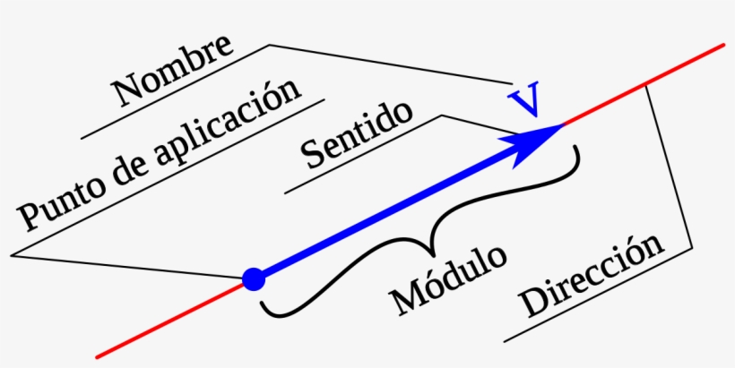 File - Vector 07 - Svg - Euclidean Vector - Free Transparent PNG ...