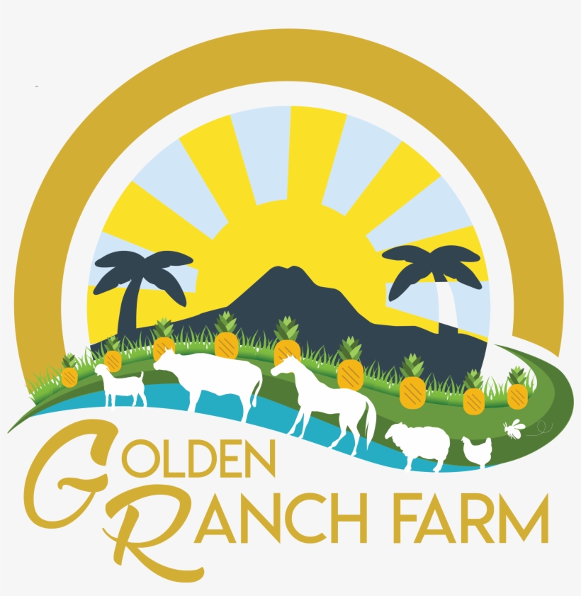 Golden Ranch Farm - Free Transparent PNG Download - PNGkey