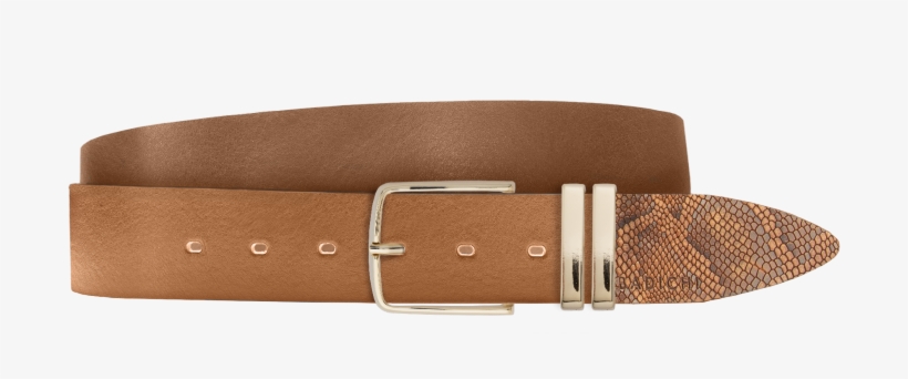 Buckle - Free Transparent PNG Download - PNGkey