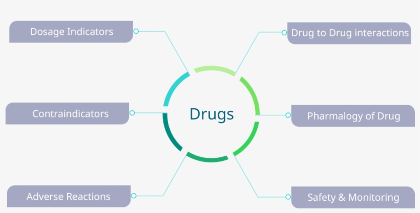 Drugs - Diagram - Free Transparent PNG Download - PNGkey
