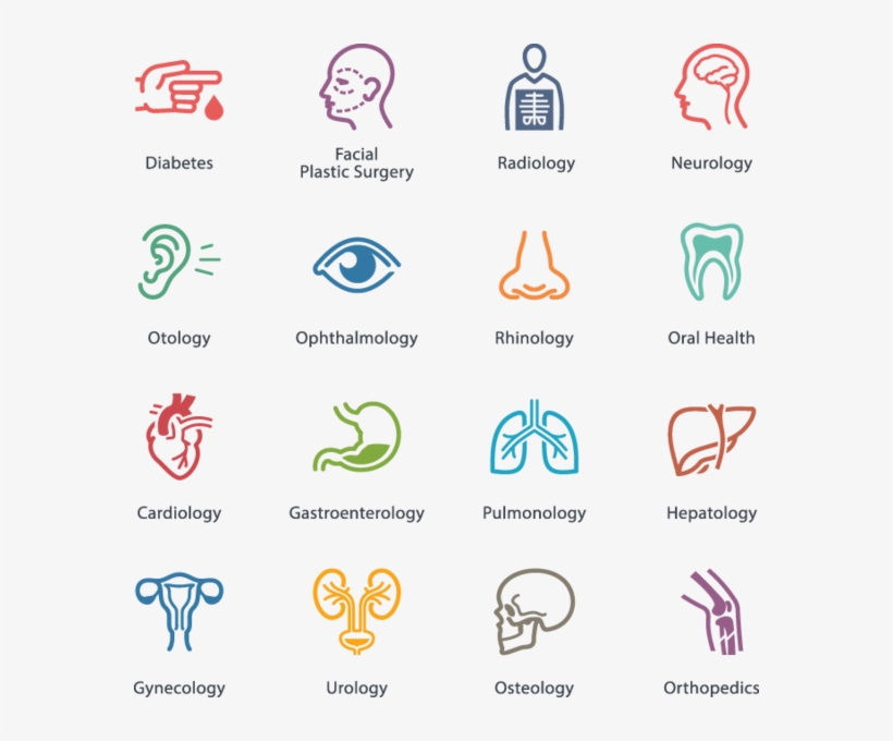 644 Health Icons - Medical Specialties Icons - Free Transparent PNG ...