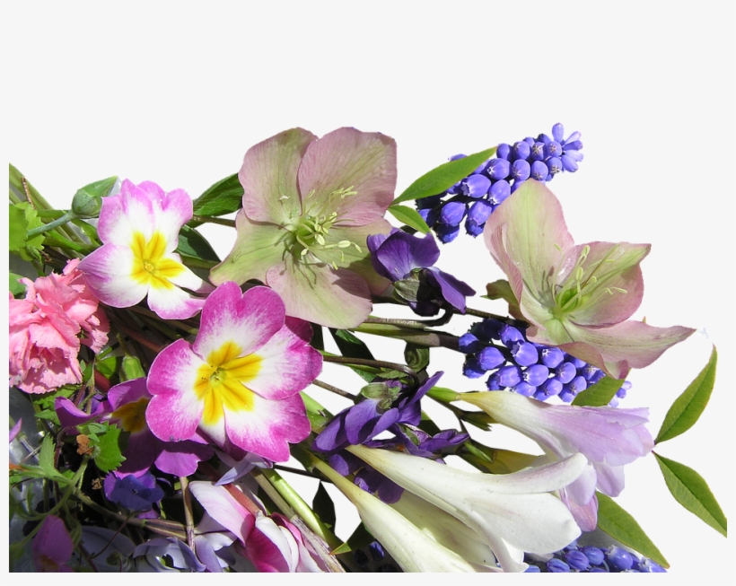 Flower, Bunch, Mixed, Spring - Free Transparent PNG Download - PNGkey