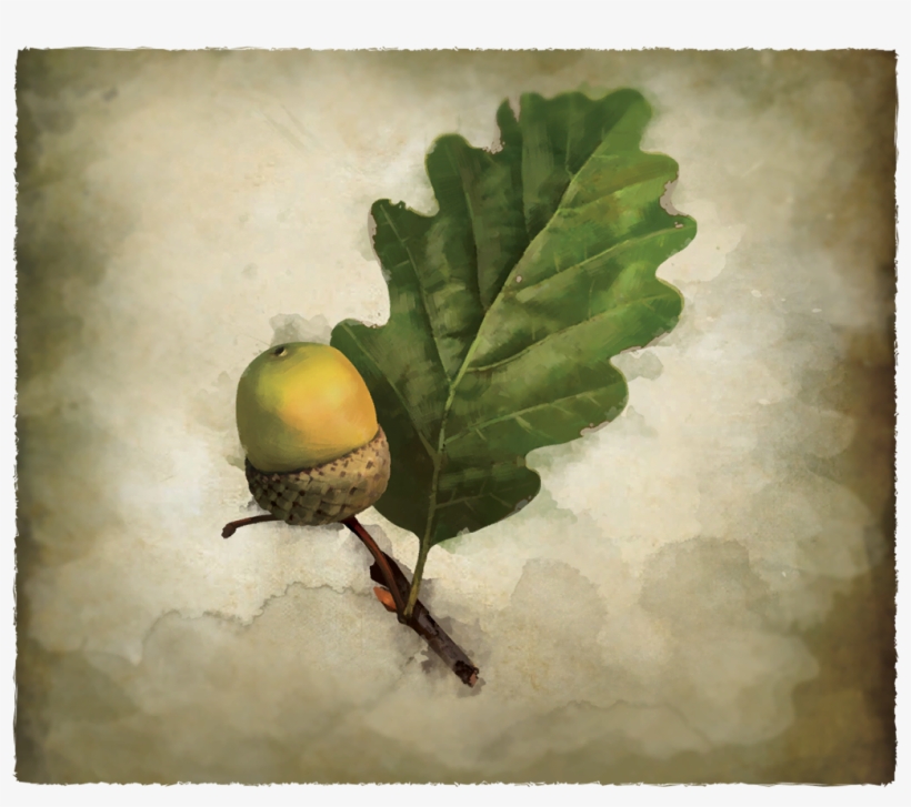 Silvanus - Silvanus Symbol - Free Transparent PNG Download - PNGkey